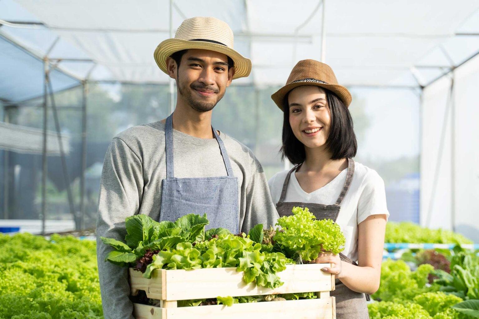 About Us – Mother Earth Builders